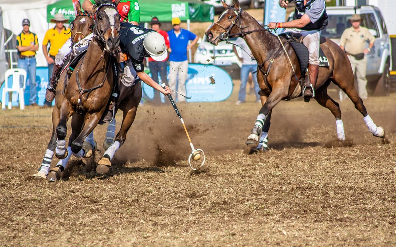 Private lessons - Week-LyPolo