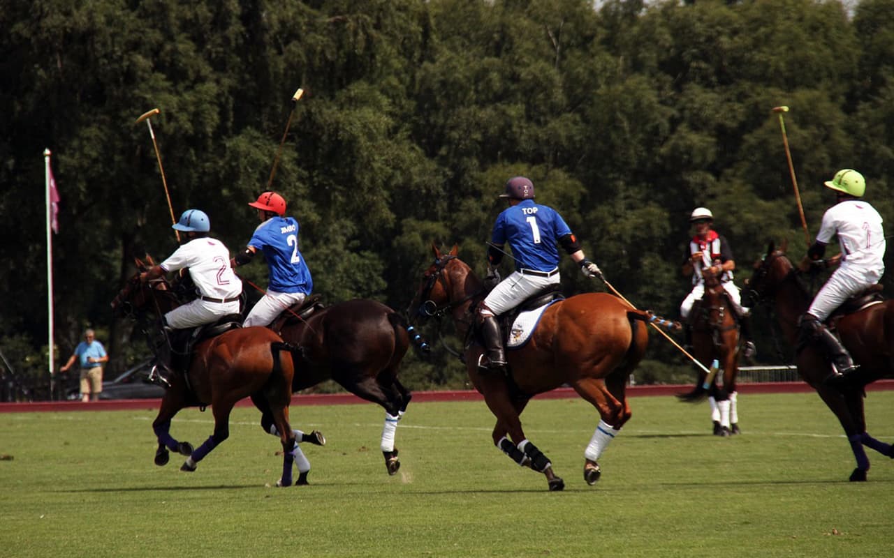 One-Day Course - Week-LyPolo