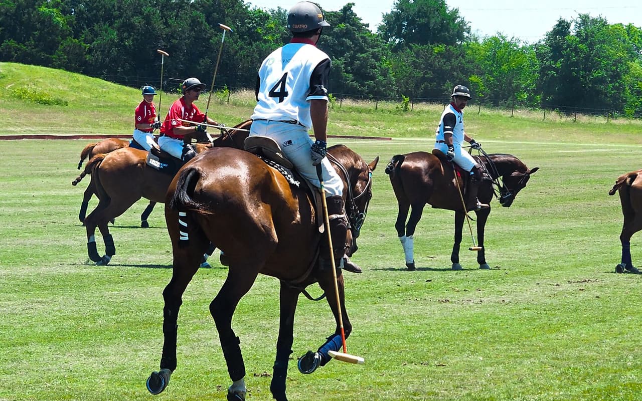 Rules of polo - Week-LyPolo