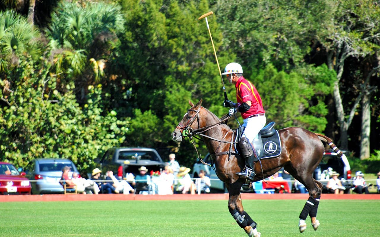 Basic Polo Course - Week-LyPolo