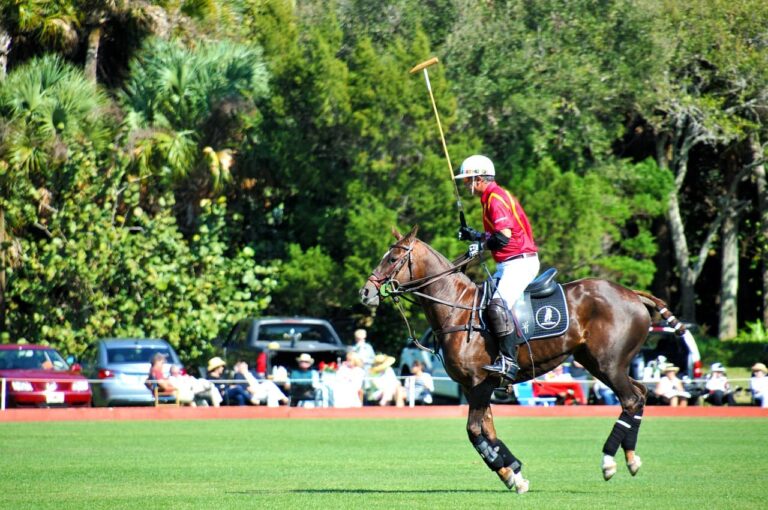 The Rules of Polo: Explained - Week-LyPolo